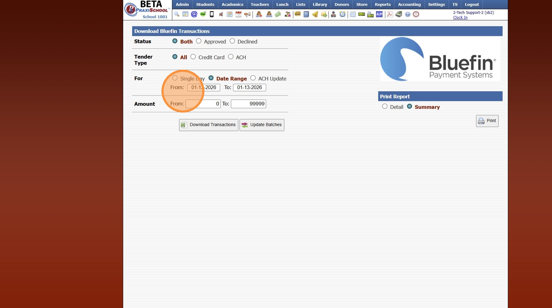 Download BlueFin Transaction Report