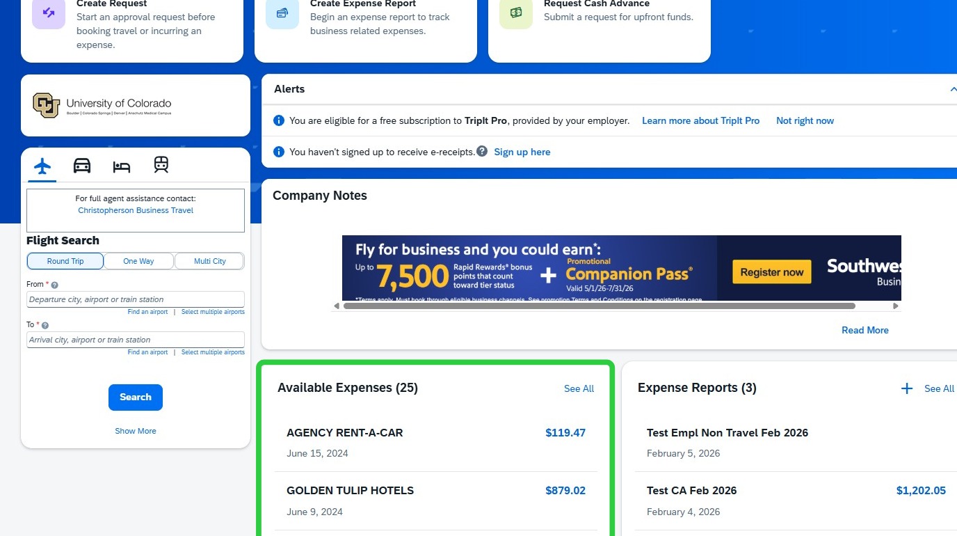 Concur Expense: Available Expenses Section